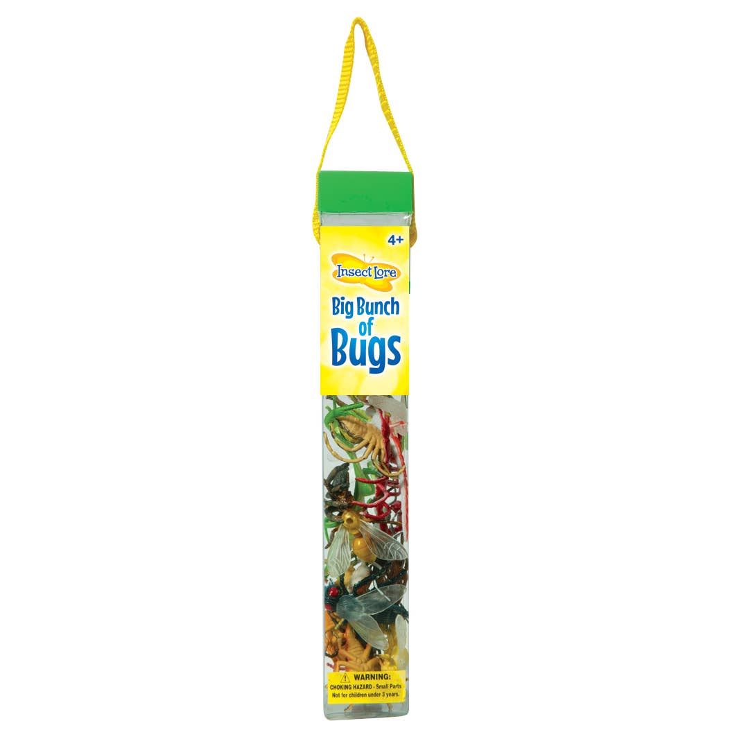 Insect Lore Big Bunch of Bugs – Maison Baby & Kids
